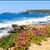 Riola Sardo Sardinian West Coast Sardinia - Italy Traveller Guide